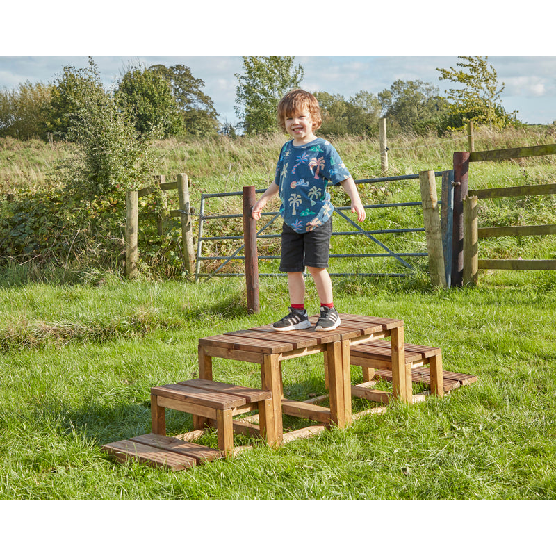 Up And Down Platform Steps – Morleys (Bicester) Ltd